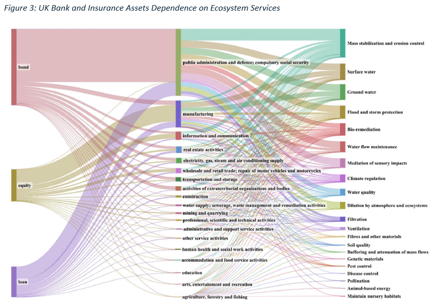 Nature Risk Measurement Is Evolving